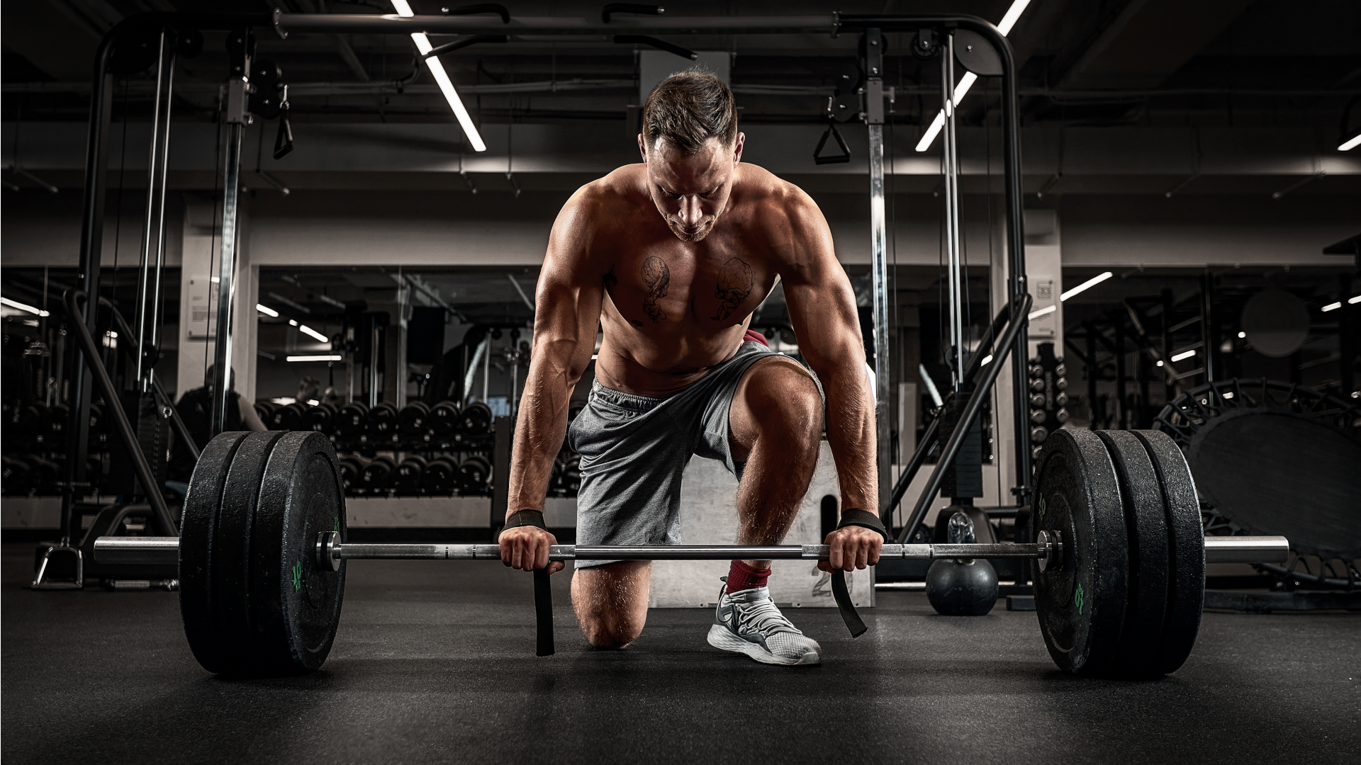 Cut Vs Bulk: Which One Is Best For You? Find Out Right Here – Crazy ...